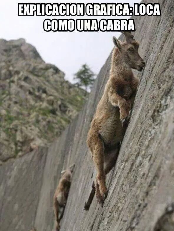 Estoy loca como una cabra - Meme subido por inocente-palomita12 :) Memedroid
