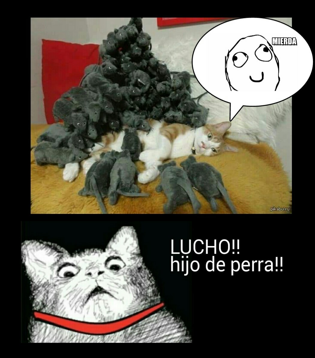 ese lucho es un loquillo - Meme subido por BorisXD :) Memedroid