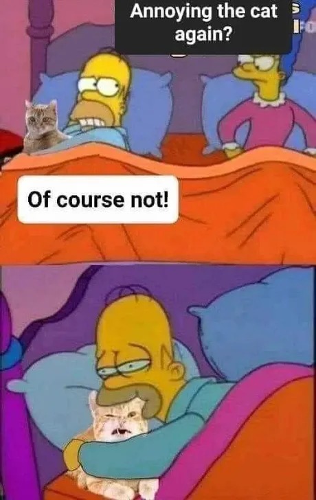 Cat meme - Meme subido por shamputurner :) Memedroid Cat meme - Meme subido por shamputurner :) Memedroid