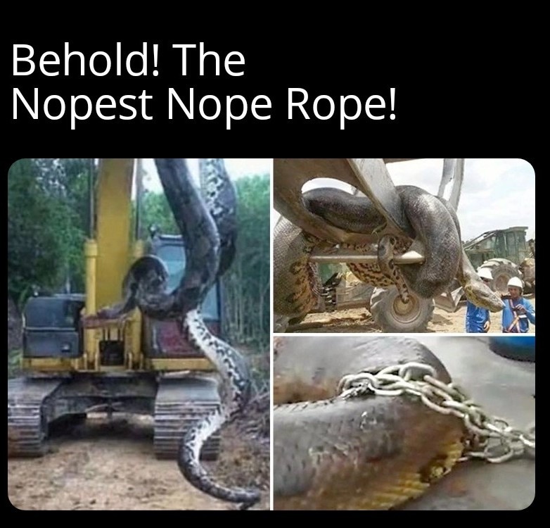 Nope rope - Meme subido por Paddybardic :) Memedroid
