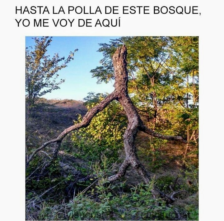 A - Meme subido por Espeon_021 :) Memedroid