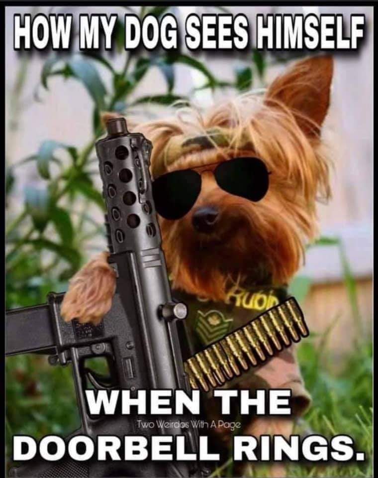 Who Dat Meme By Djuk Memedroid