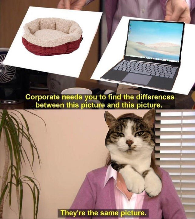 They re The Same Picture Meme By Oceanapple Memedroid