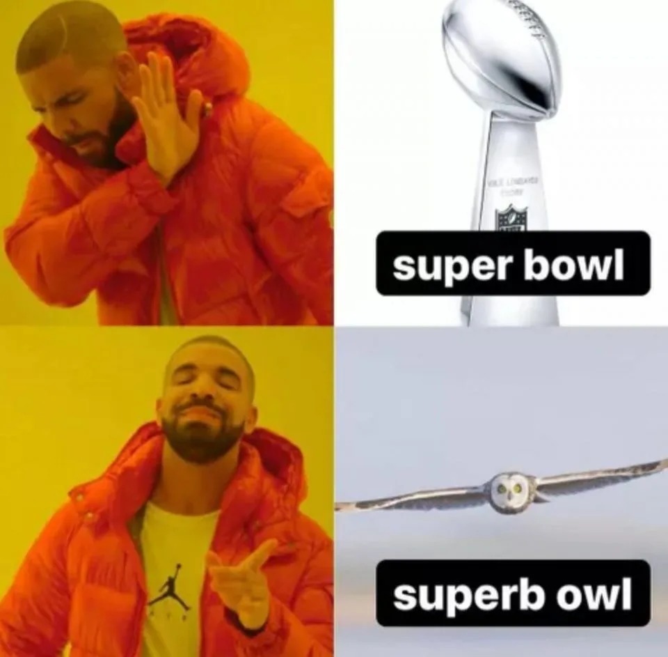 Superb owl - Meme subido por 1Kingsith :) Memedroid