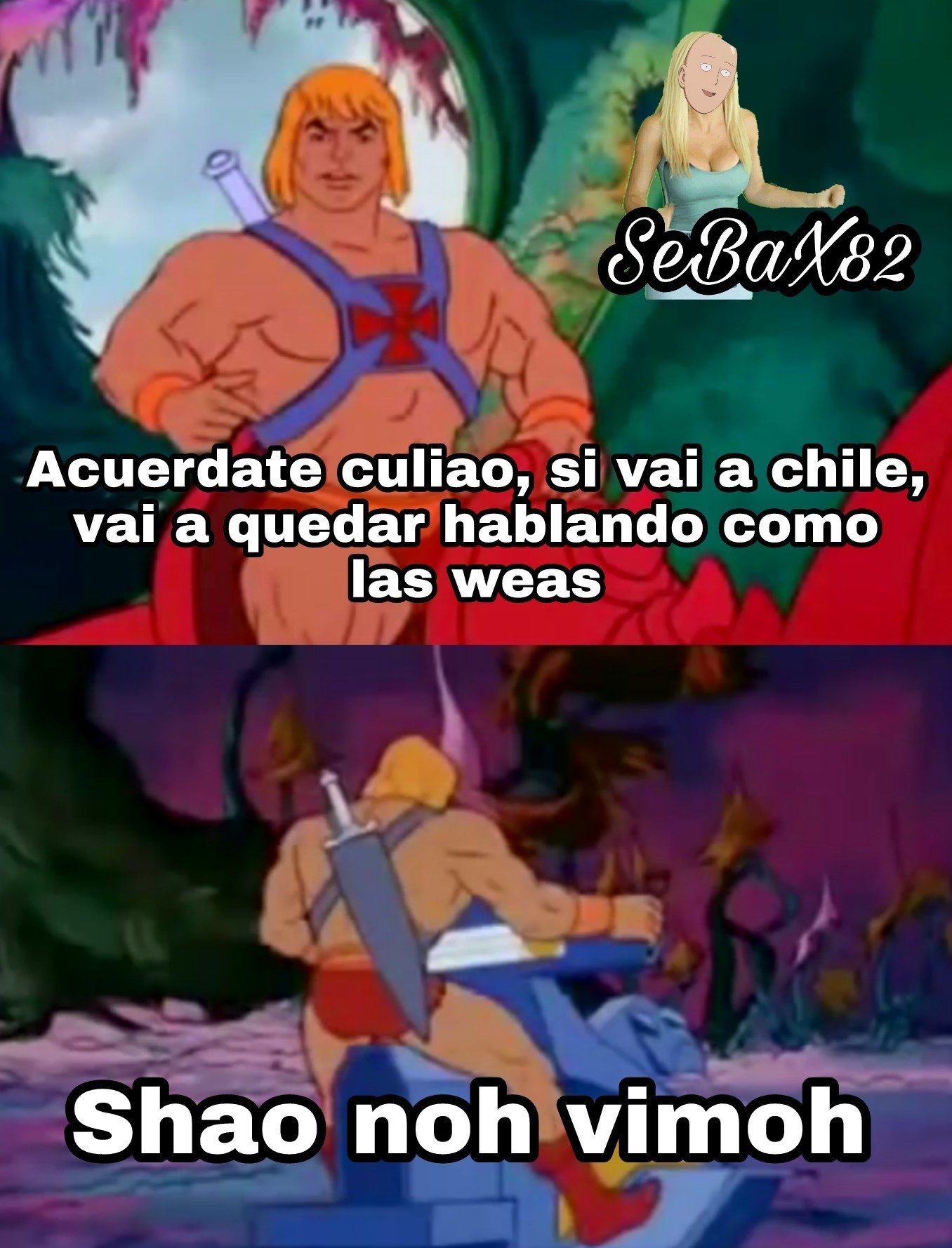 la wea wena - Meme subido por SeBaX82 :) Memedroid