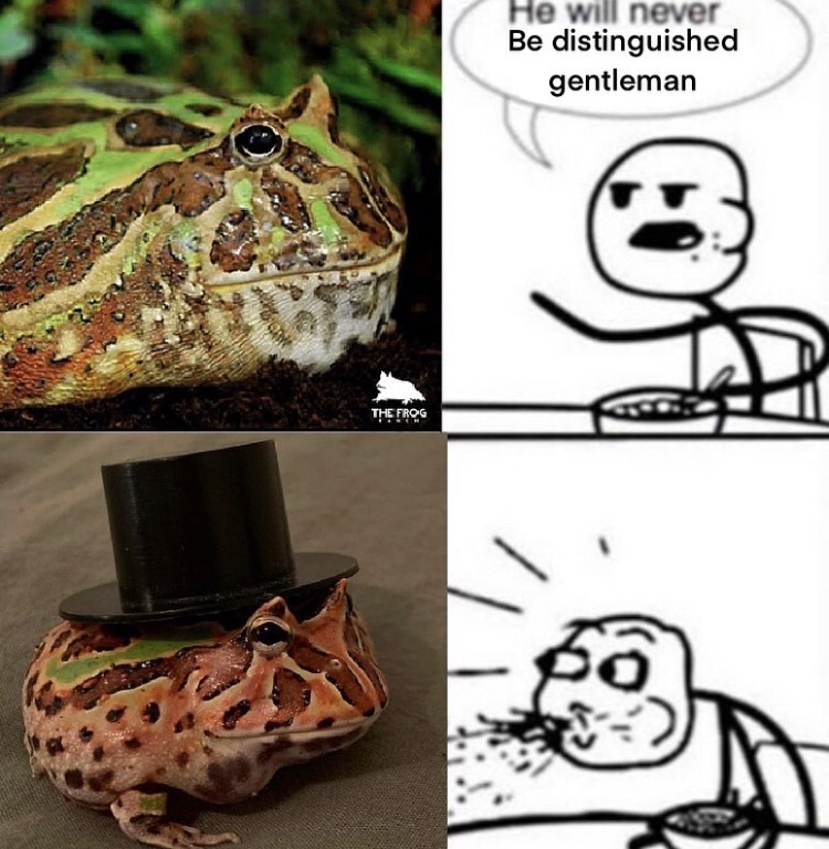 Gentleman Frog Meme By DaMusicGamer Memedroid