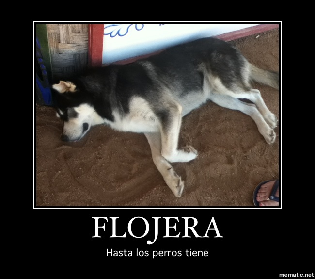 Flojera - Meme subido por chatote123 :) Memedroid