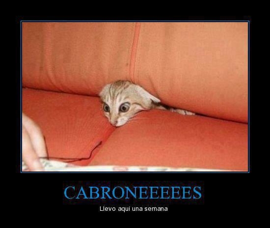 one week siganme - Meme subido por max_valenzuela :) Memedroid