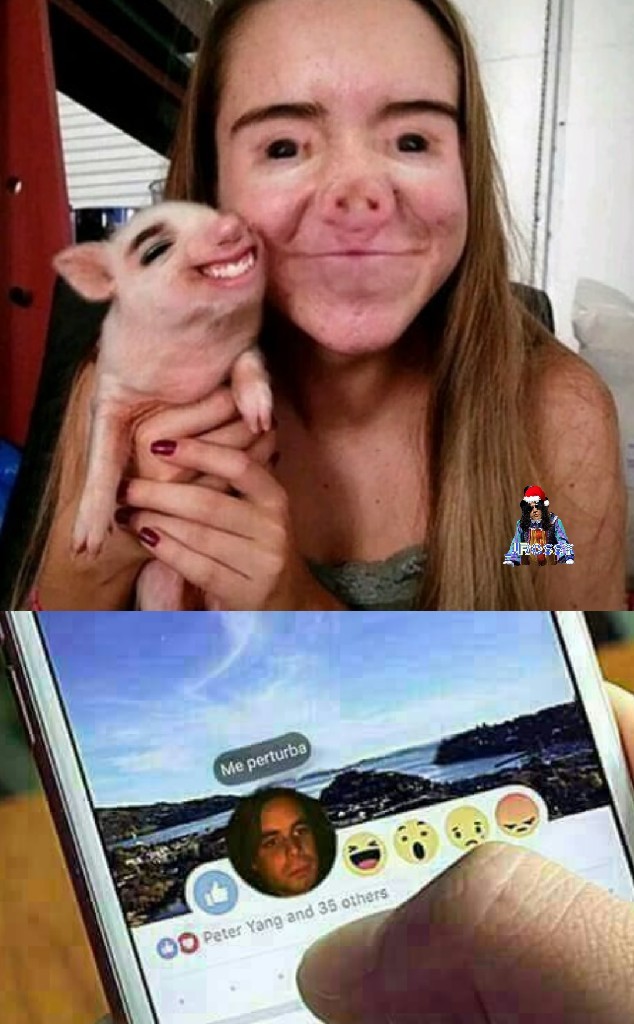 Top memes de dross en español :) Memedroid