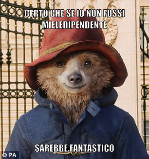 Paddington - Meme by cacchina33 :) Memedroid