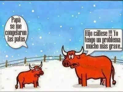 huevos - Meme subido por LUIGIGAMER49 :) Memedroid