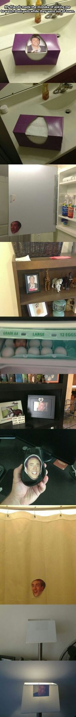 No one is safe - Meme subido por Mcmlg :) Memedroid