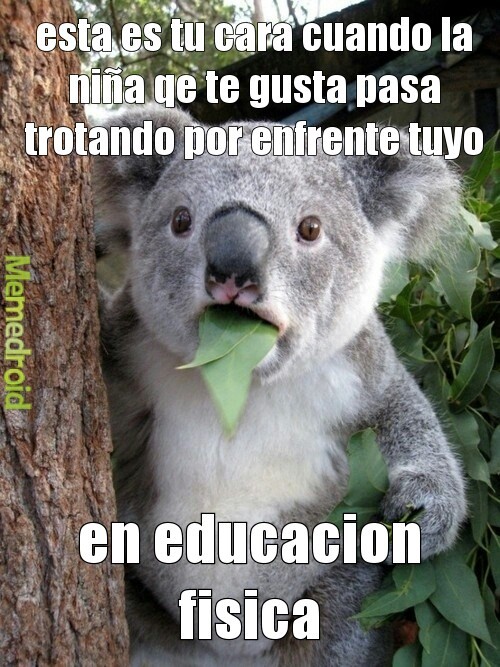 seeeeee*--------* - Meme subido por lukas14234 :) Memedroid