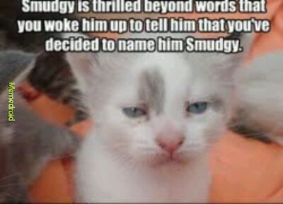 Thrilled - Meme by Idinvalid :) Memedroid