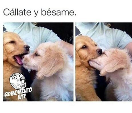 Callate Y Besame Memes Meme Personalizado Shhh Solo Callate Y Besame