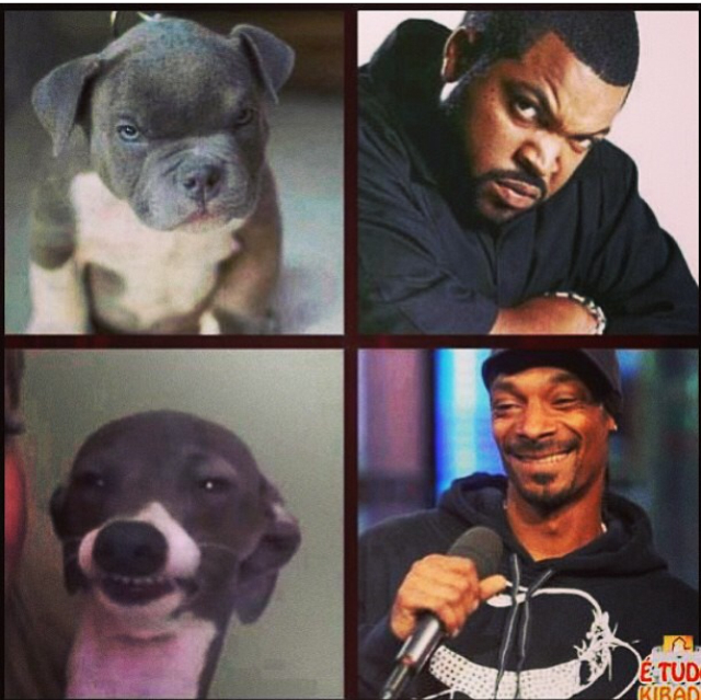 Nb - Meme by TrutaLoka :) Memedroid