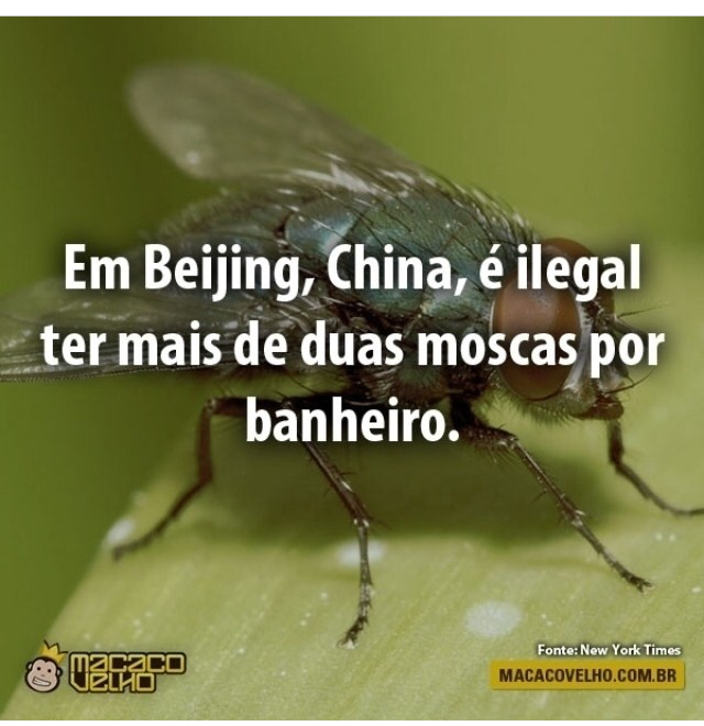 masoq? - Meme by jesus ama pudim :) Memedroid