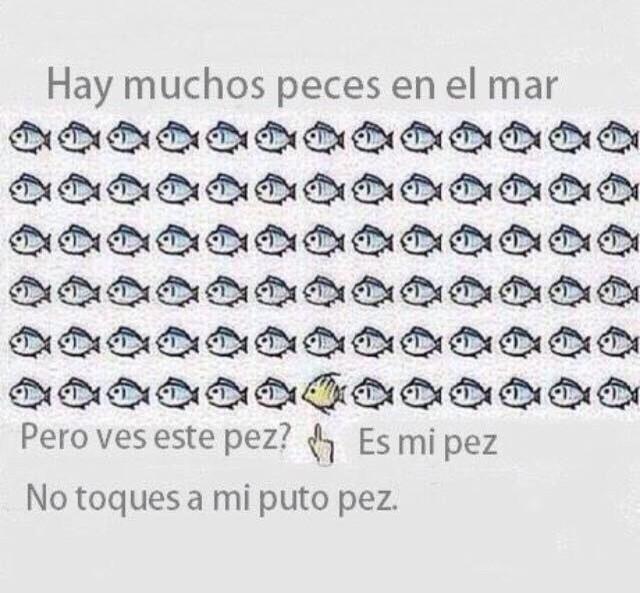 No lo toque!! - Meme subido por arisurf23 :) Memedroid