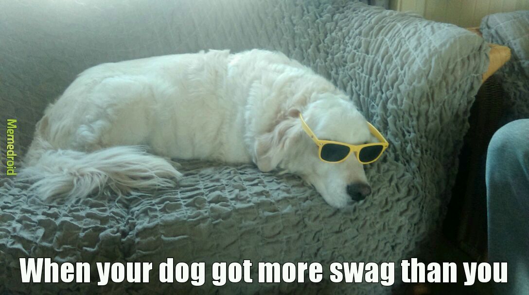Swag - Meme by Luc1125 :) Memedroid