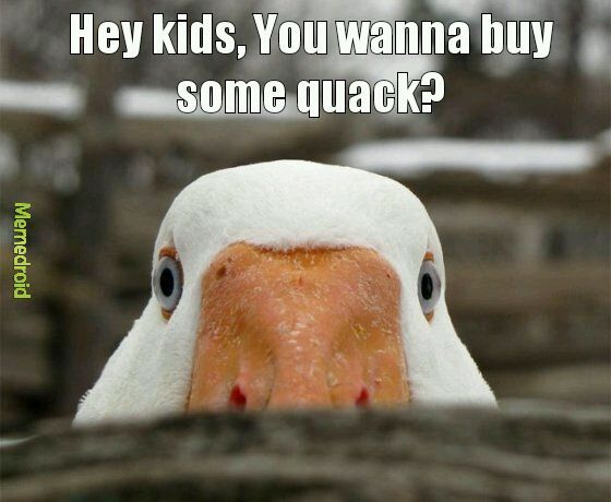 Quack. - Meme subido por Dude7129 :) Memedroid