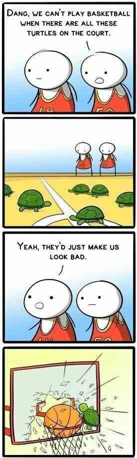 Turtle dunks in You - Meme by Nosh118 :) Memedroid