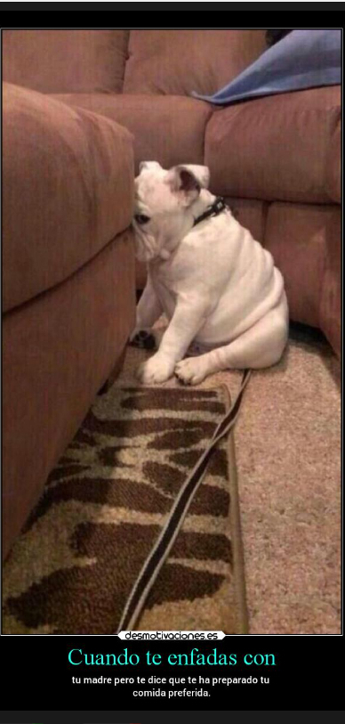 sometimes - Meme subido por tomegarcia417 :) Memedroid