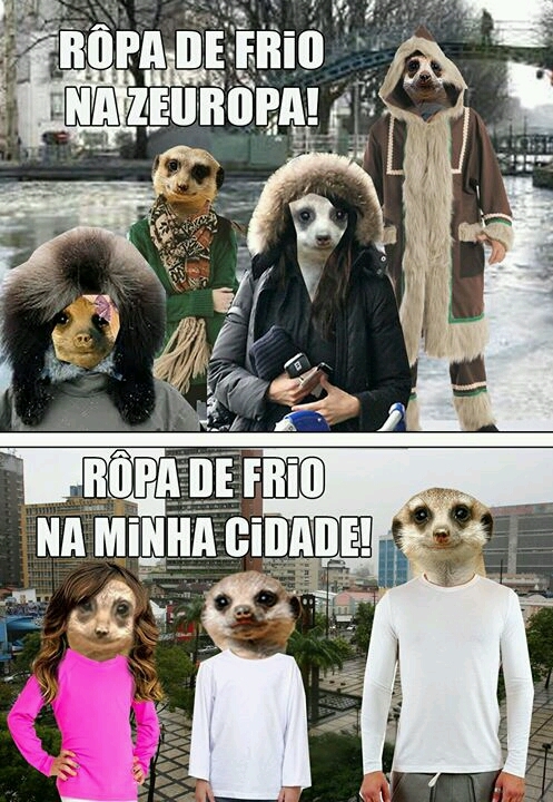 Memes Ta Frio Frio Intenso No Brasil Vira Meme Na Internet