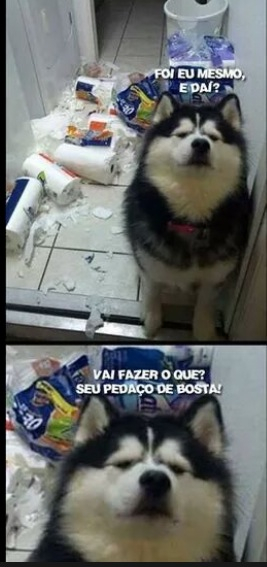 Seu pedaço de bosta - Meme by Sellani :) Memedroid