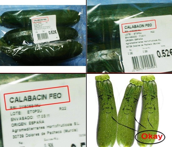 Calabacin feo (Sigueme y te sigo) - Meme subido por Kefaxo7 :) Memedroid