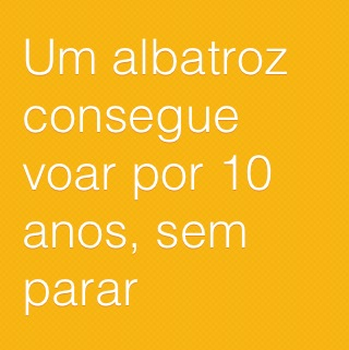 Albatroz - Meme by Ft. furyway :) Memedroid