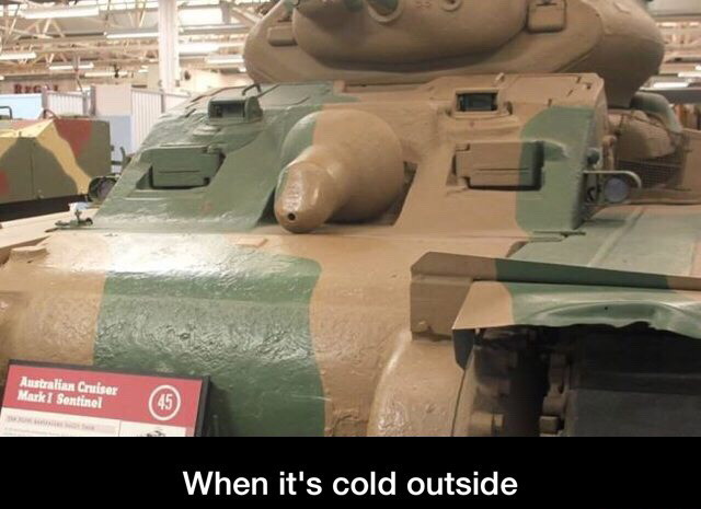It's a bit cold out - Meme by soydolphin :) Memedroid