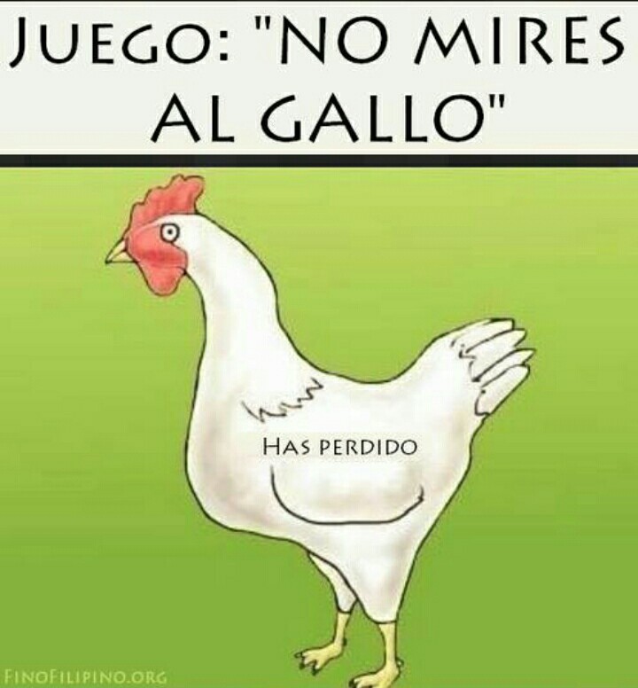 No mires al gallo - Meme subido por danielbarr2000 :) Memedroid