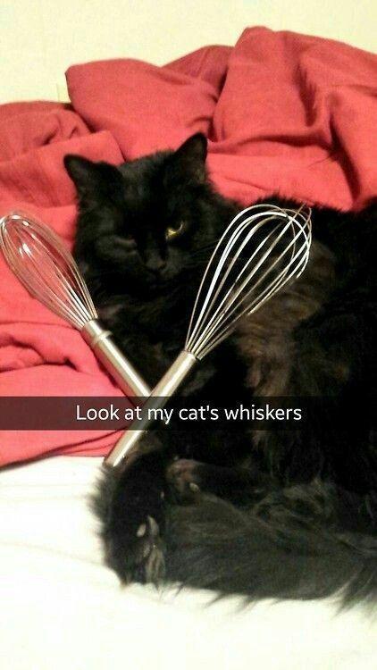 Whisk away, whisky! - Meme by MrFadedGlory :) Memedroid