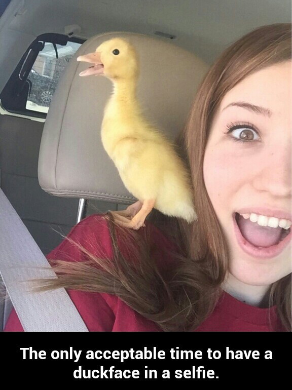 Best duckface - Meme by soydolphin :) Memedroid