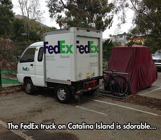 Baby FedEx truck - Meme by bryanlobo :) Memedroid