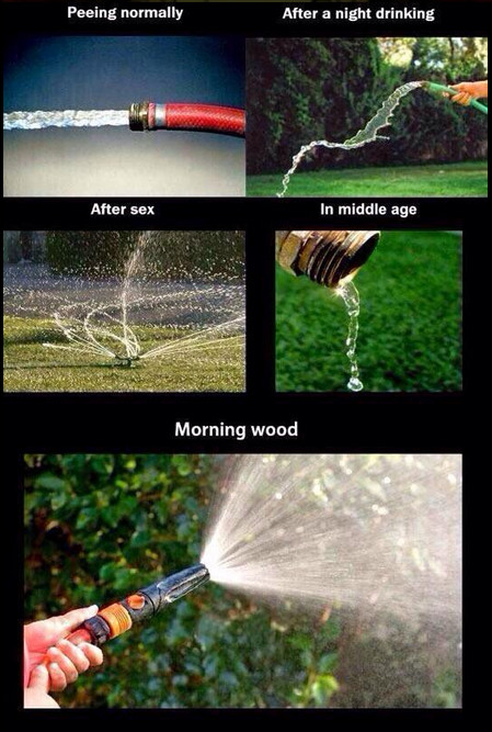 Just let it go... - Meme by zayNERVO :) Memedroid