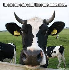 Vaca vaca vaca vaca vaca vaca vaca vaca vaca vaca - Meme by Ana_sofia11_. :) Memedroid