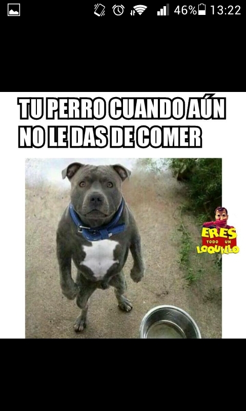 Y ya valiste madre - Meme subido por Heisenbergxd :) Memedroid