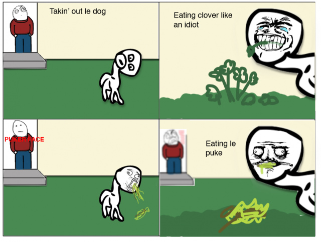 Damn U doge - Meme by Troll_boi :) Memedroid