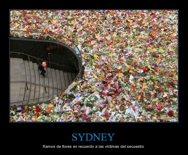 Sydney - Meme subido por soydolphin :) Memedroid