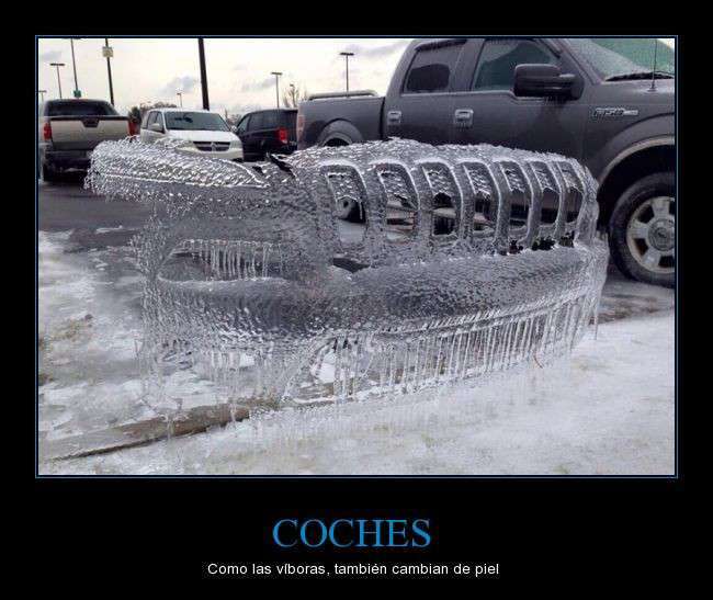 Que espectacular la naturaleza - Meme subido por soydolphin :) Memedroid