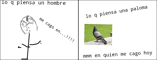 Paloma - Meme subido por Lolazo-12 :) Memedroid