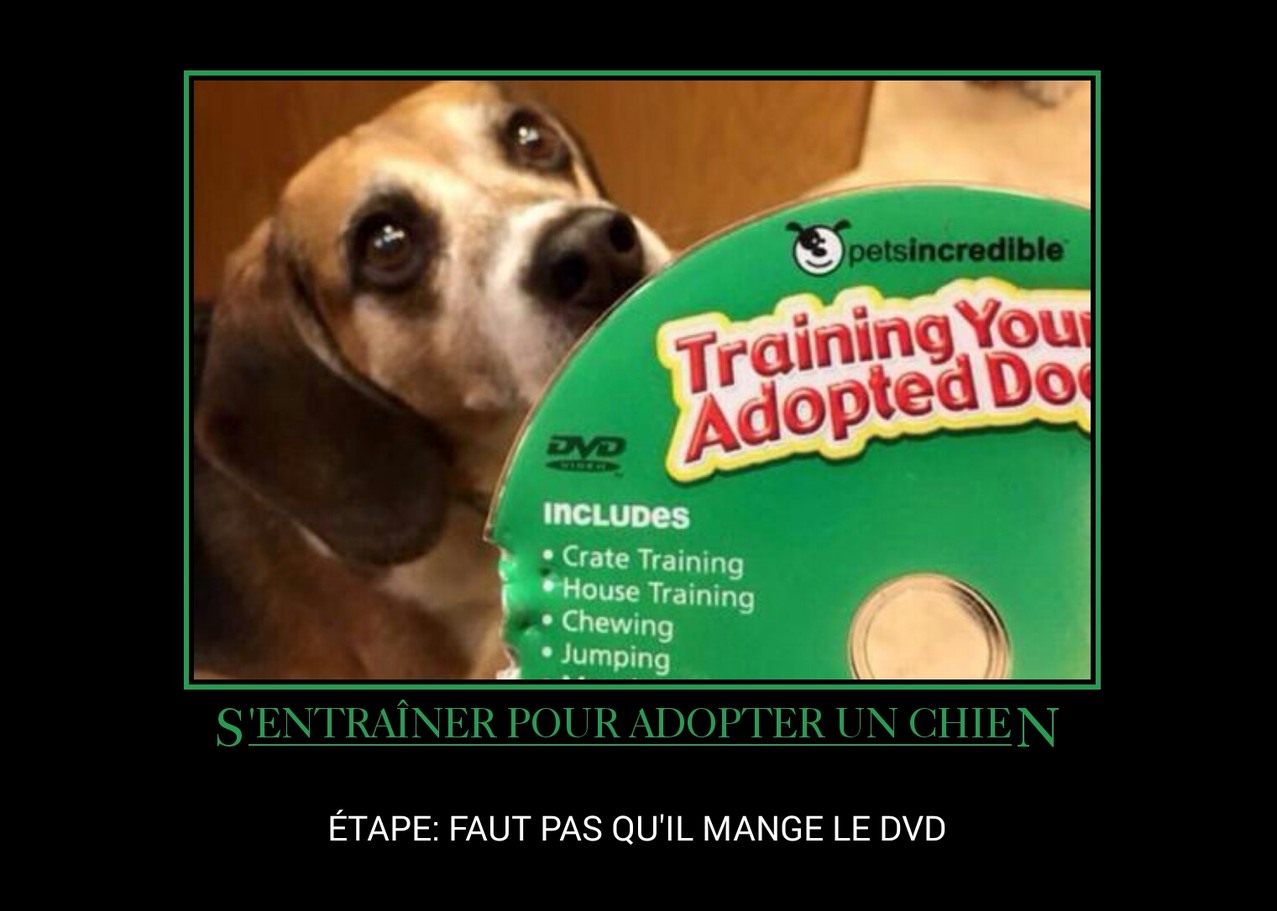 TROP MIGNON - Meme by johnnydem :) Memedroid