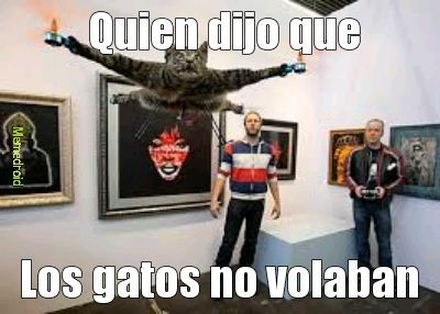 El gato volador - Meme subido por Memedri :) Memedroid