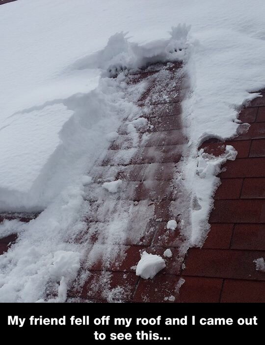 Looks like a slippery situation - Meme by soydolphin :) Memedroid