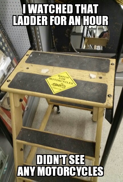 They are NOT on this ladder - Meme by davidsealover :) Memedroid