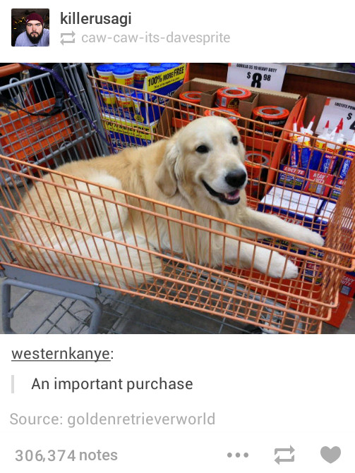 I just bought a dog - Meme by niramou :) Memedroid