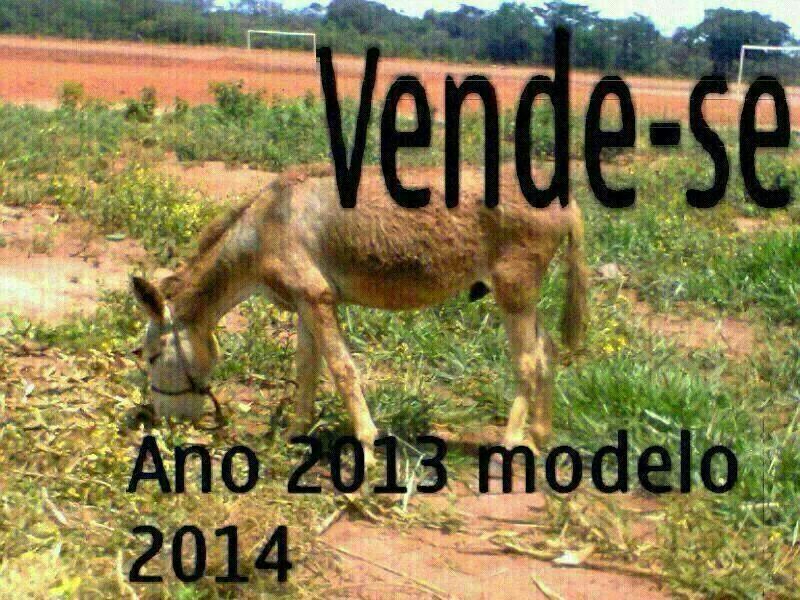 semi novos. - Meme by leo_bengala :) Memedroid