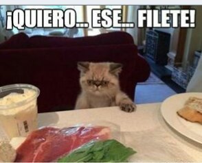 Dame...ese...filete... - Meme subido por Oliiwuapa :) Memedroid