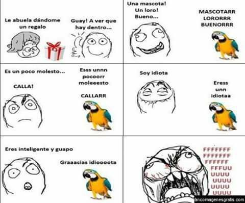 Memes Sobre Pericos
